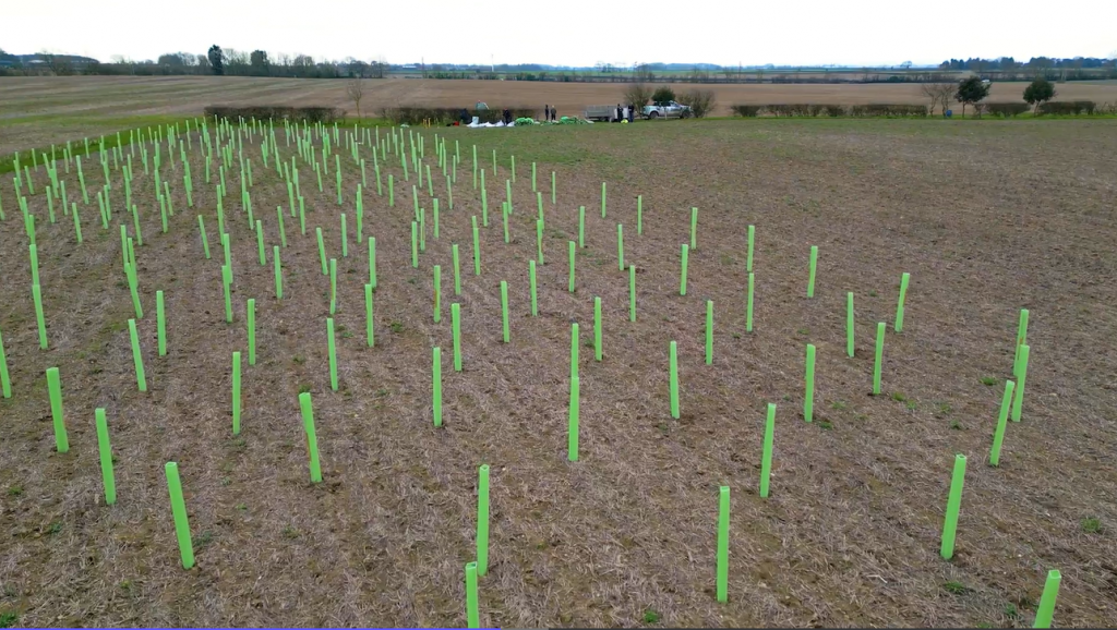 Frodingham Grange | Humber Forest